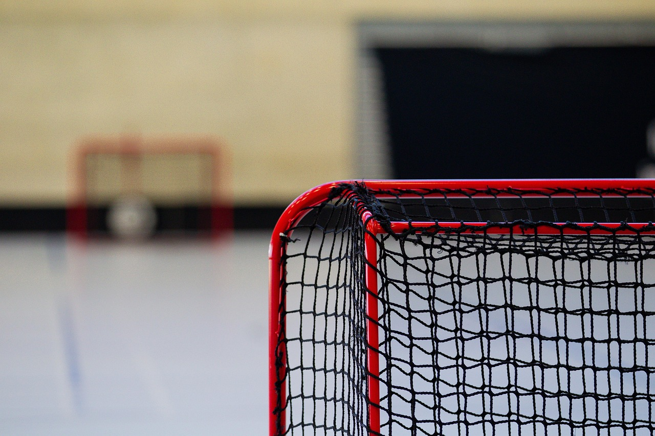 Understanding Hockey: A Quick Guide – Blogs and Other Things